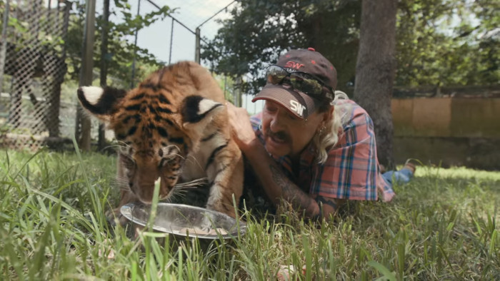 ‘Tiger King’: The Most Off the Chain Documentary Ever! – Insights from ...